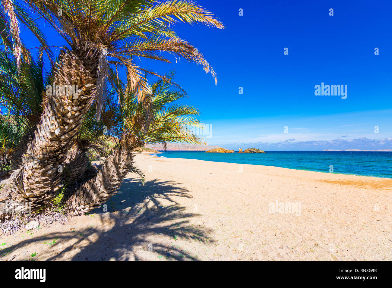 Scenic landscape of palm trees, turquoise water and tropical beach, Vai ...