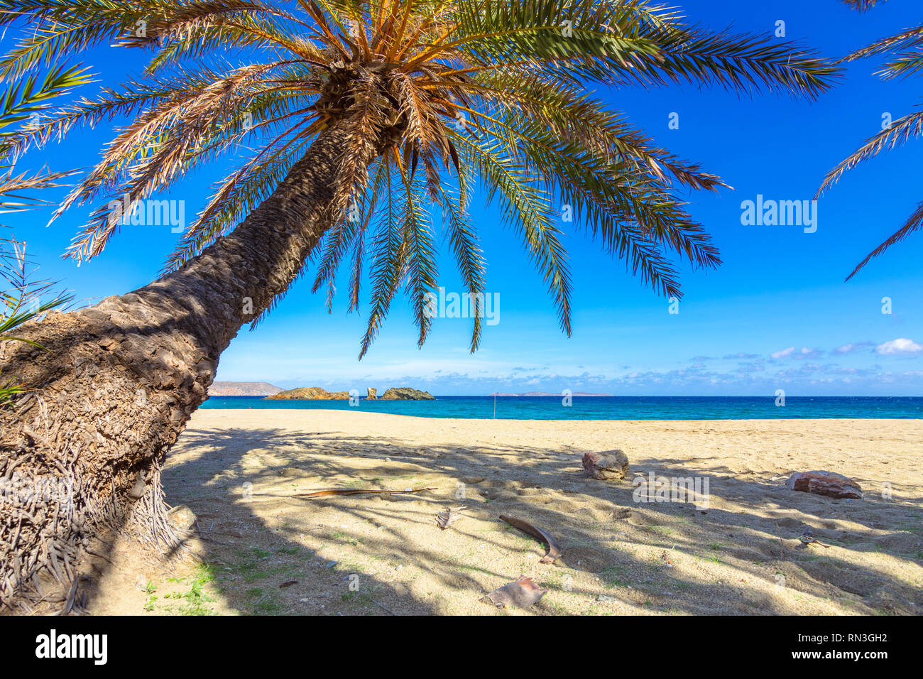 Scenic landscape of palm trees, turquoise water and tropical beach, Vai ...
