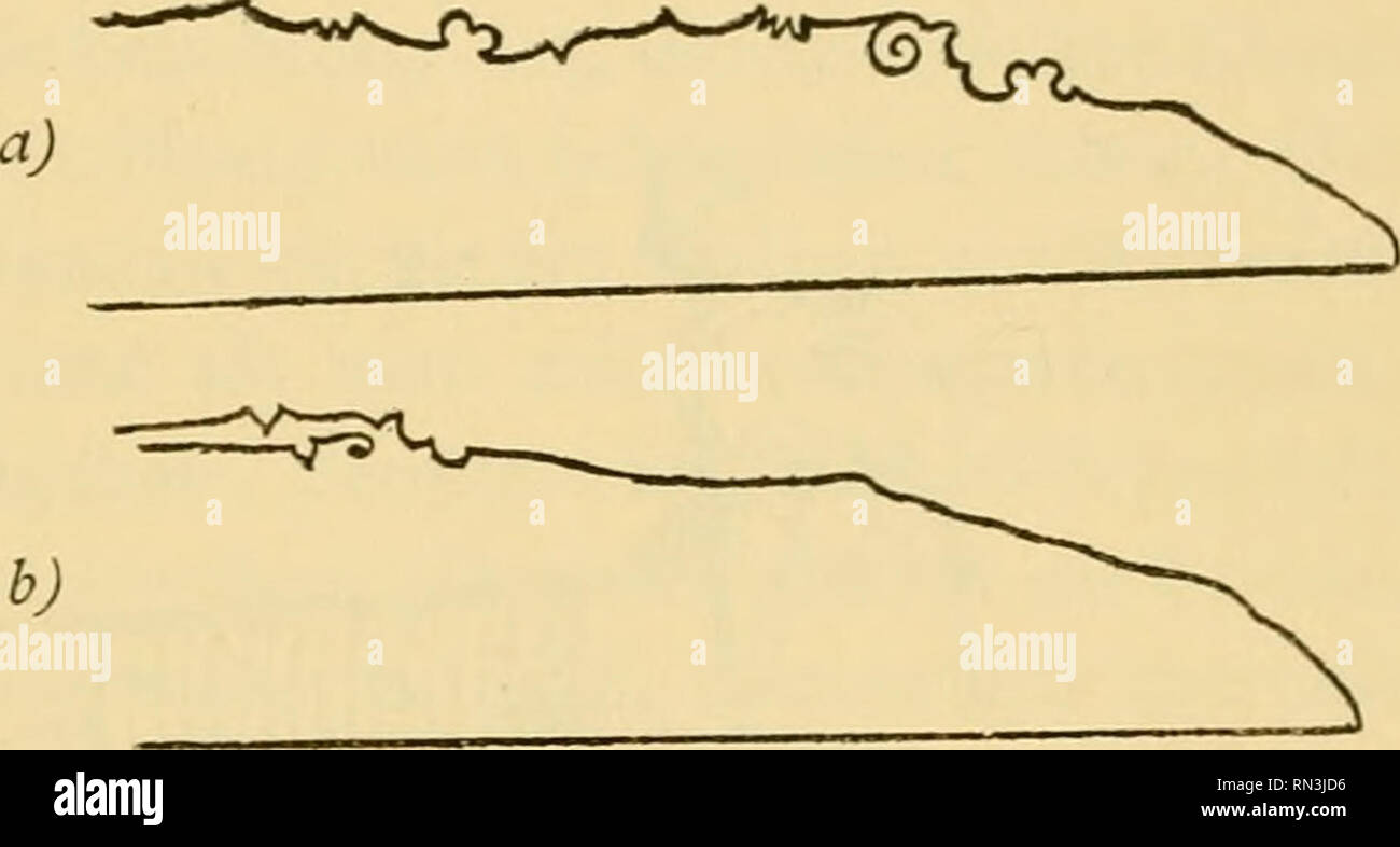 Annahme malerei hi-res stock photography and images - Alamy