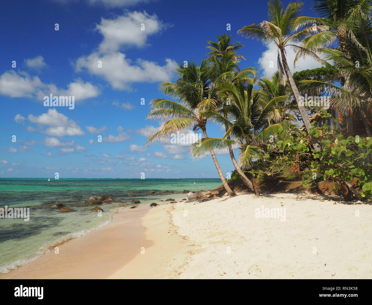 Little Corn Island Nicaragua Beaches at Evelyn Hampton blog