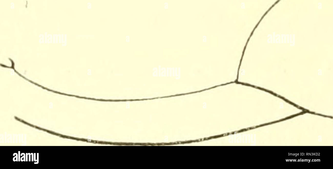 Runzeln hi-res stock photography and images - Alamy