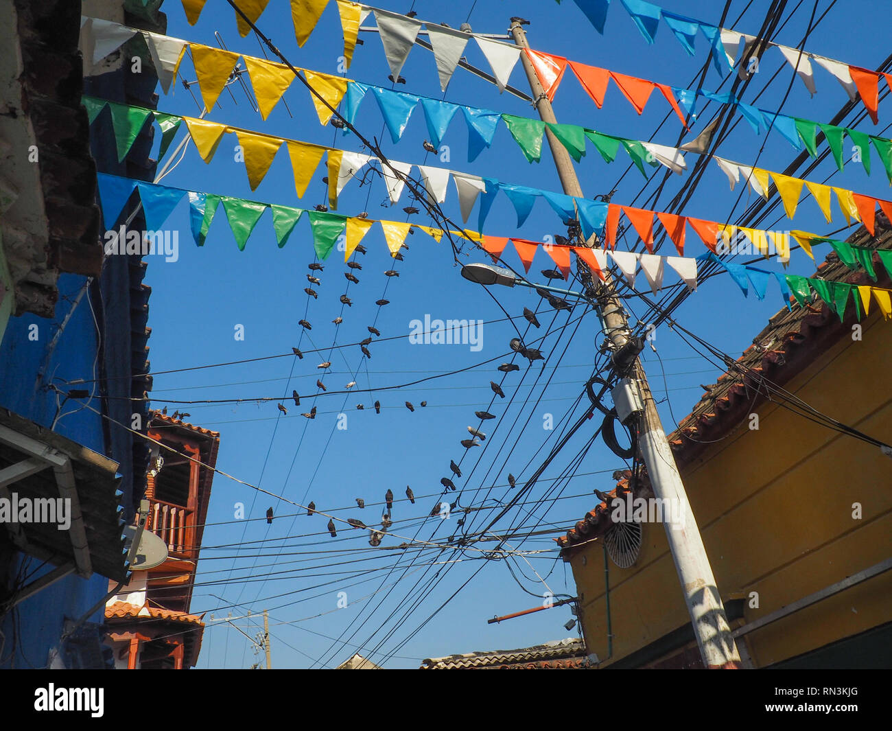 Colorful street of Cartagena, Colombia Stock Photo - Alamy