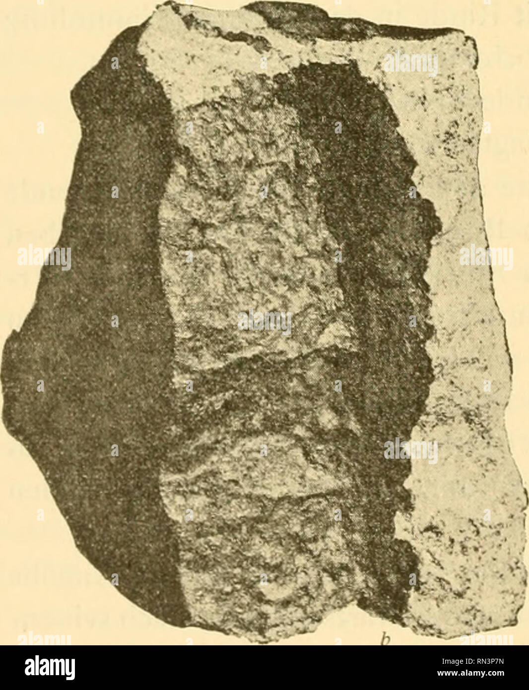 Galapian hi-res stock photography and images - Alamy