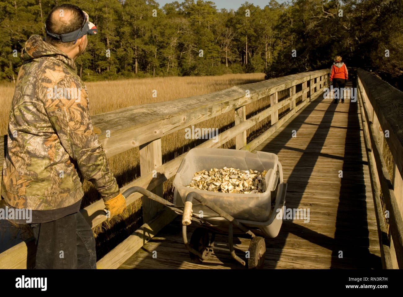 Male Caucasian Worker pushing wheelbarrow down walkway at Vereen ...