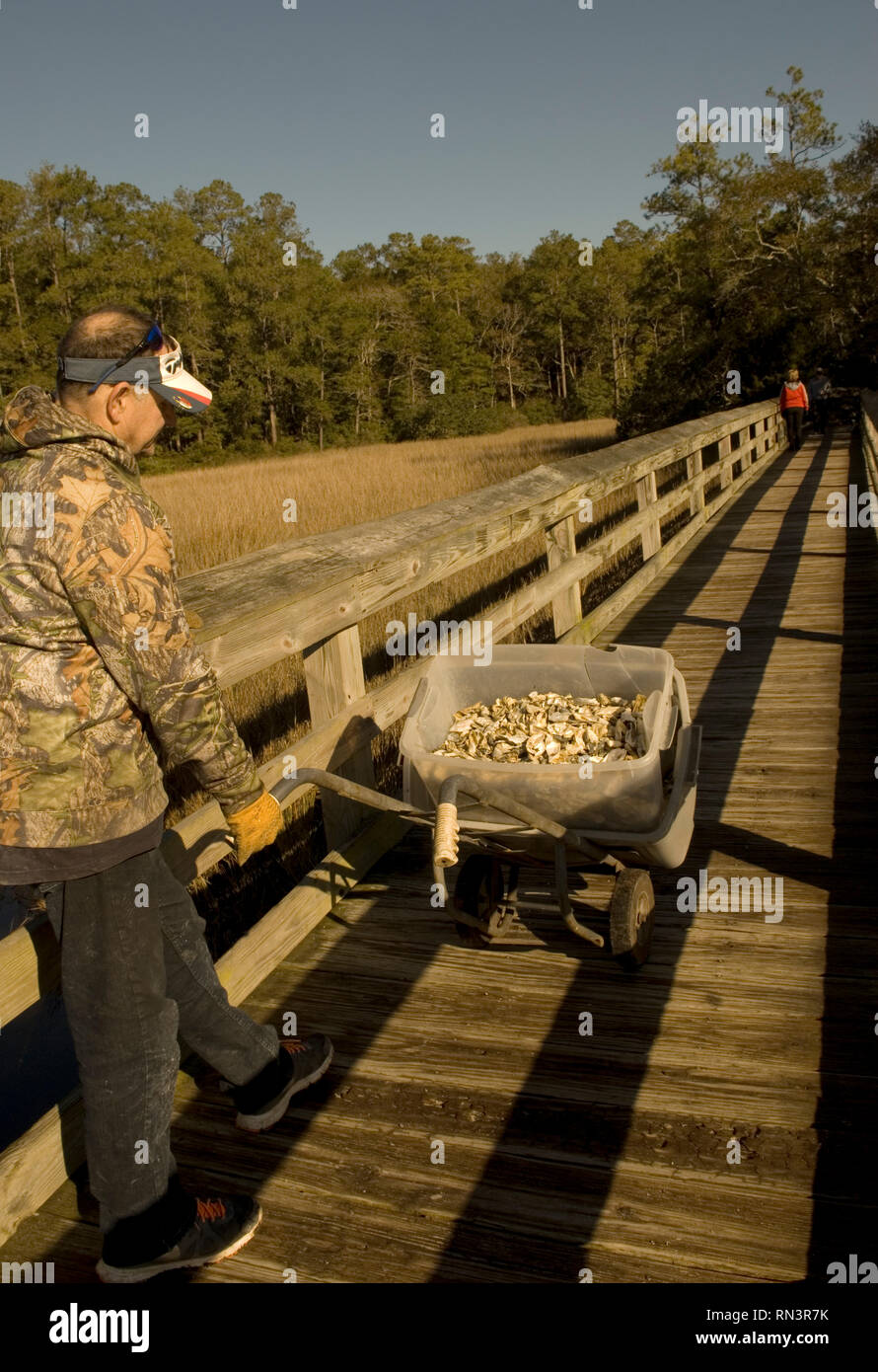 Male Caucasian Worker pushing wheelbarrow down walkway at Vereen ...