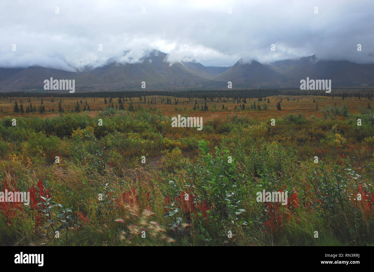 Alaska panorama hi-res stock photography and images - Alamy