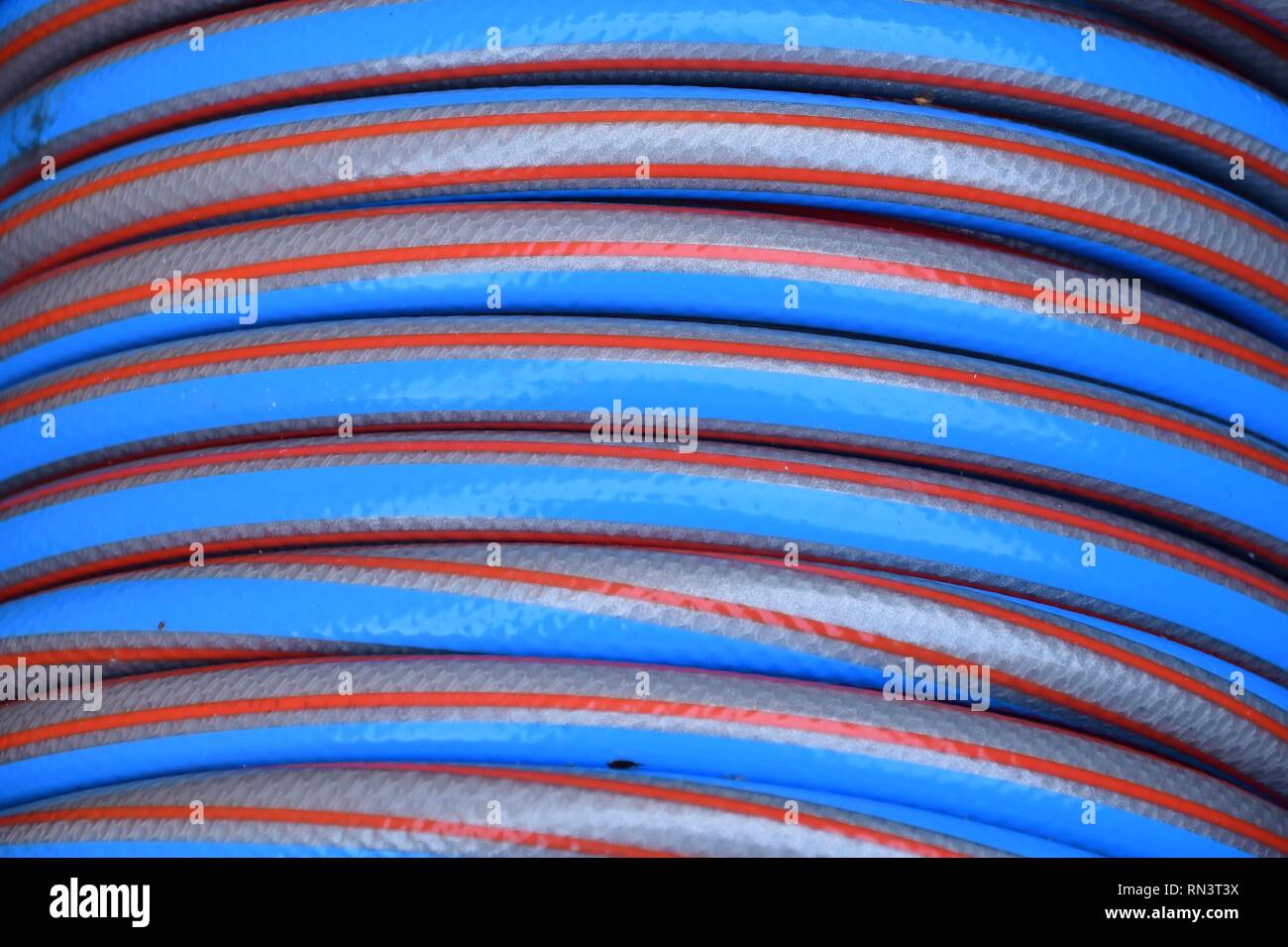 Bladderword hi-res stock photography and images - Alamy