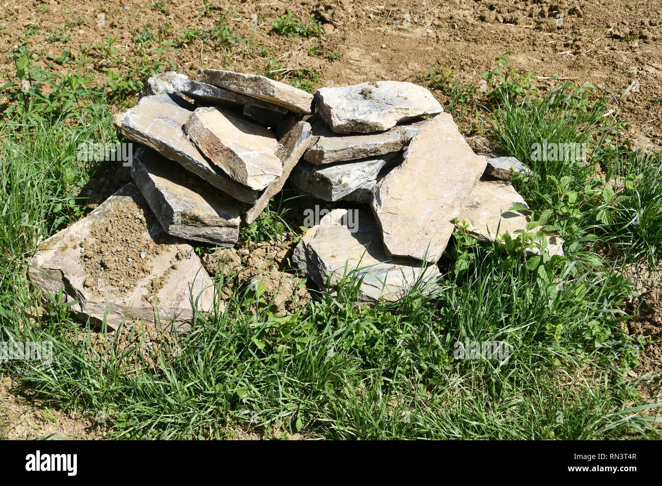 stone pile in the meadow Stock Photo - Alamy