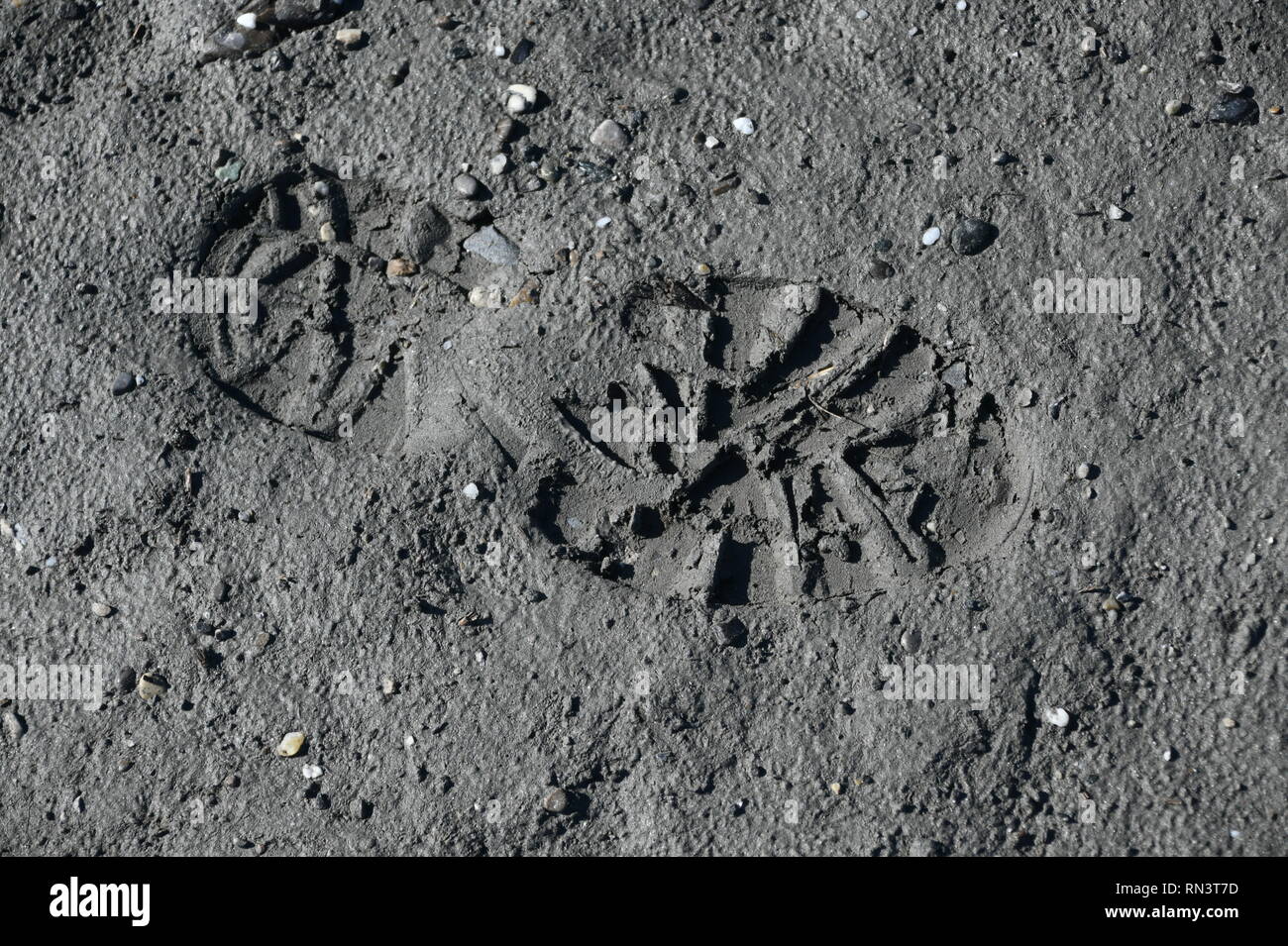 trace in the sand Stock Photo - Alamy