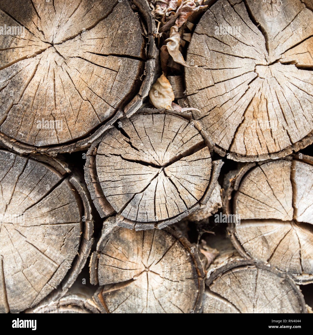 Pile of logs Stock Photo - Alamy