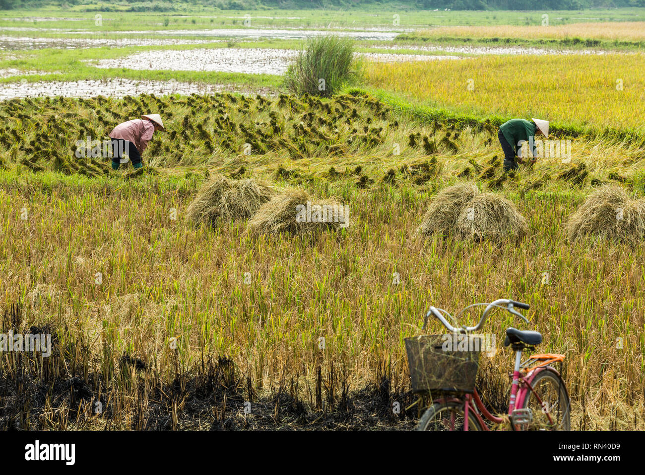 Hanoi capital hi-res stock photography and images - Alamy