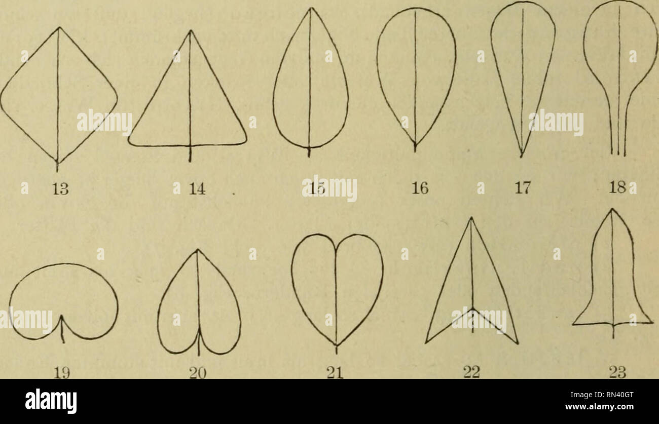 Langer pfeil hi-res stock photography and images - Alamy