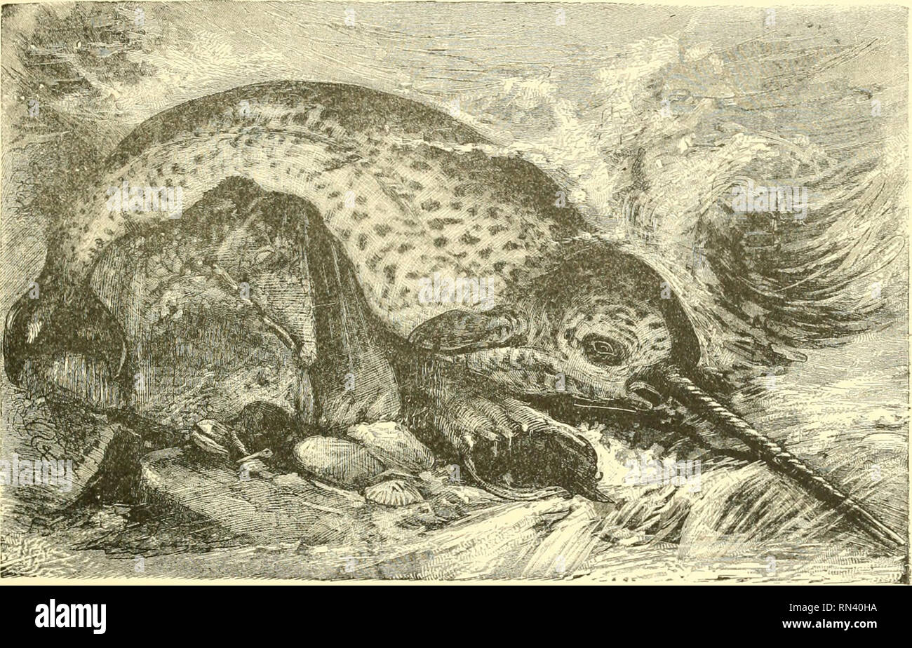 Auger effect hi-res stock photography and images - Alamy