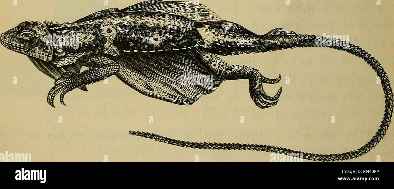 . Animal physiology. Physiology, Comparative; Physiology, Comparative ...