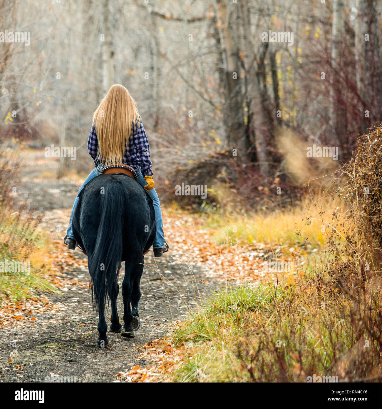 Girl horseback riding hi-res stock photography and images - Alamy