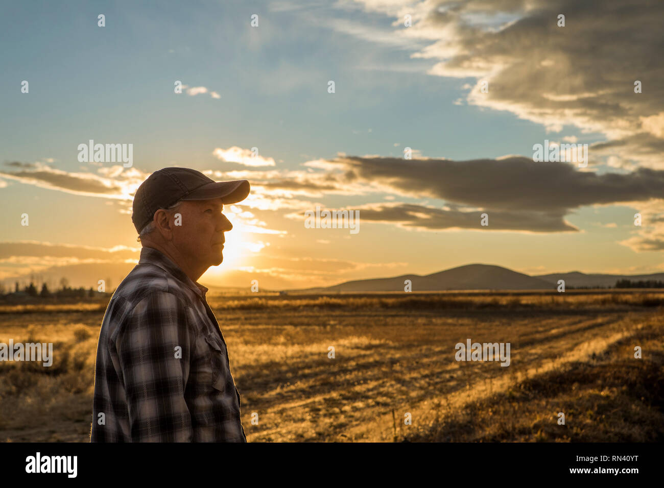 65 sunbeam hi-res stock photography and images - Alamy