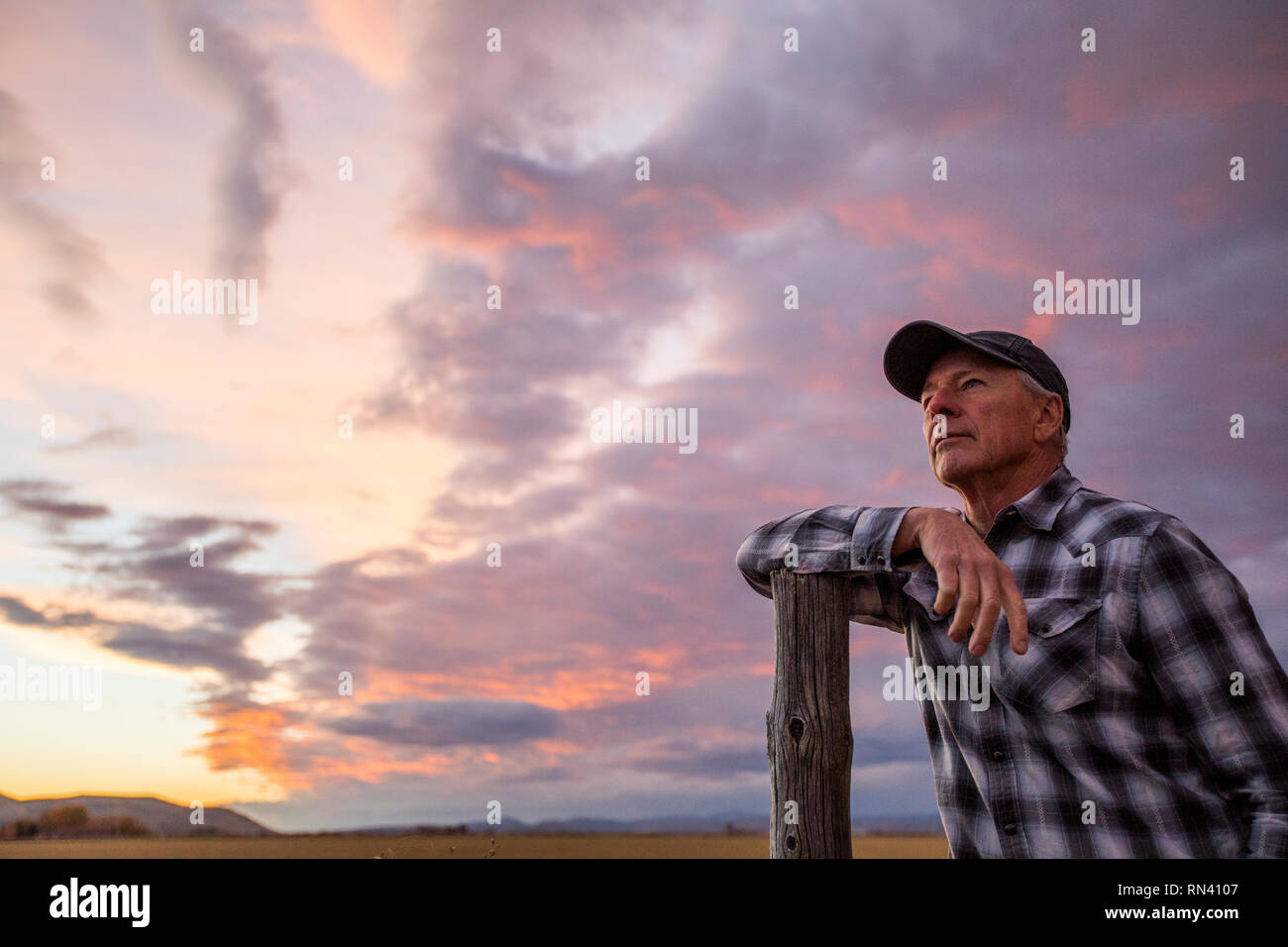 Man leaning on wooden fence hi-res stock photography and images - Alamy