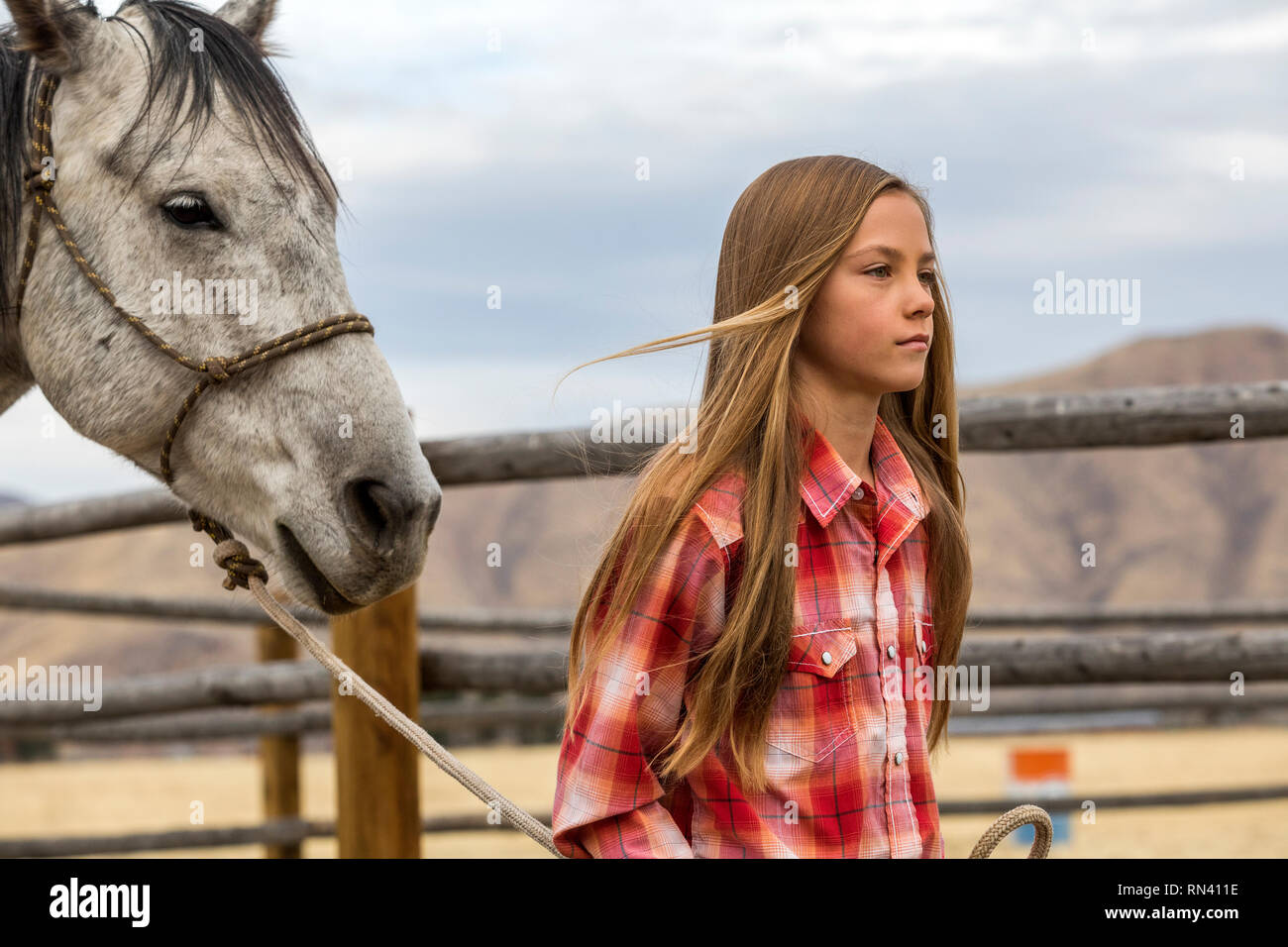Girl leading horse Stock Photo - Alamy