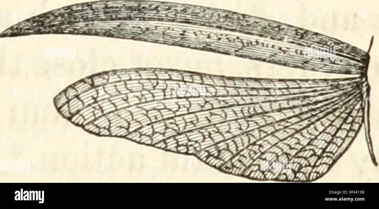 Hemi circle hi-res stock photography and images - Alamy