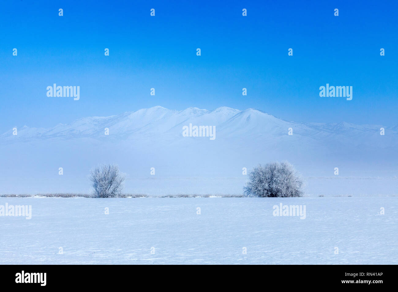 Field and mountains during winter in Fairfield, Idaho Stock Photo - Alamy