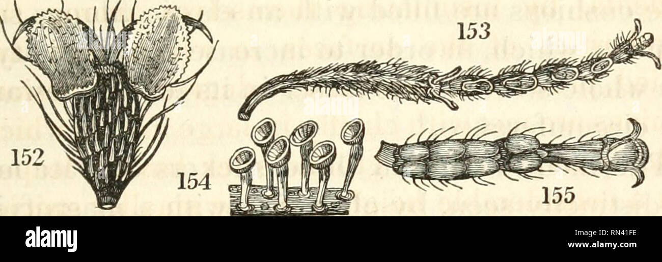 . Animal and vegetable physiology considered with reference to natural ...