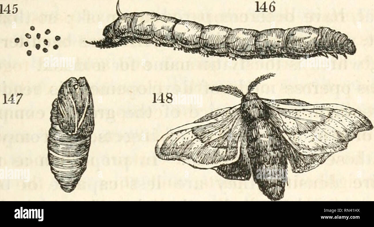 Annular structure hi-res stock photography and images - Alamy