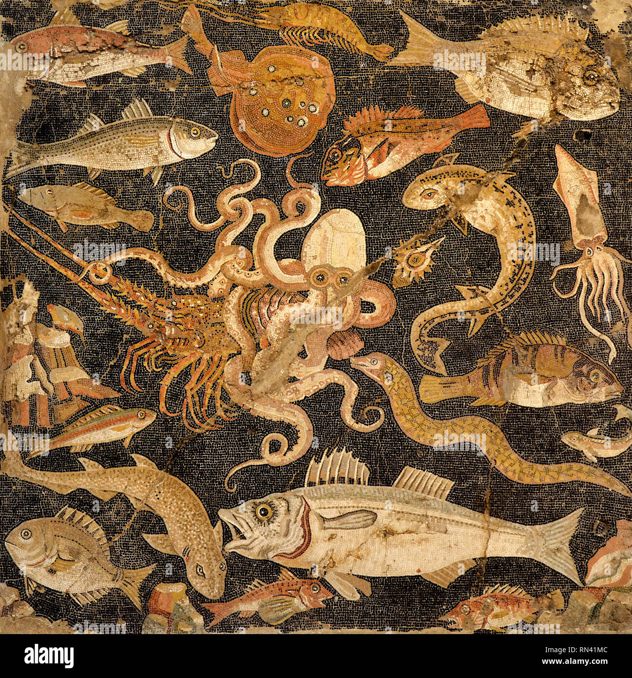 Mosaic fish pompeii hi-res stock photography and images - Alamy