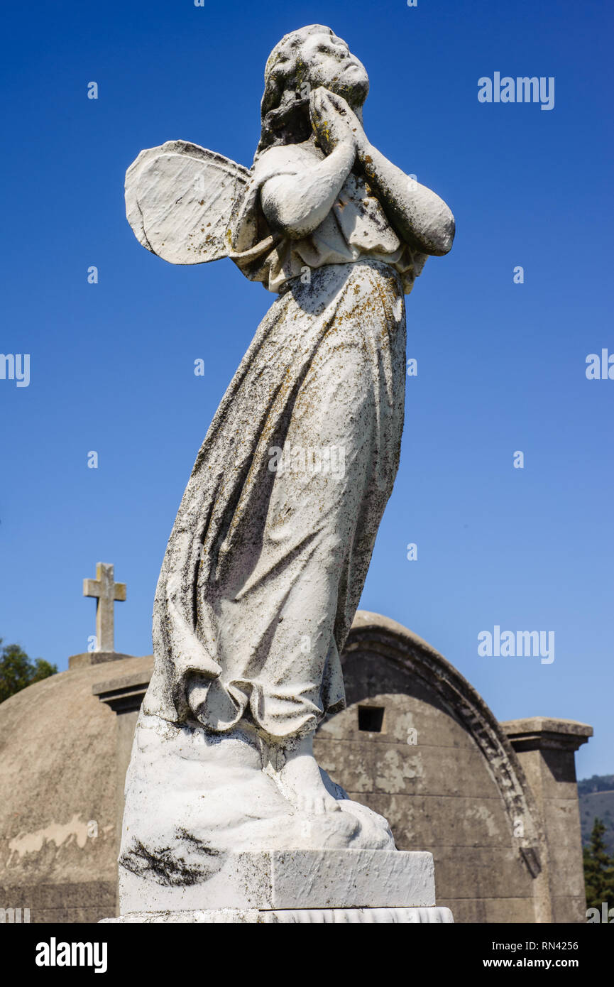 A stone angel grave monument at Saint Mary's Cemetery in Oakland ...