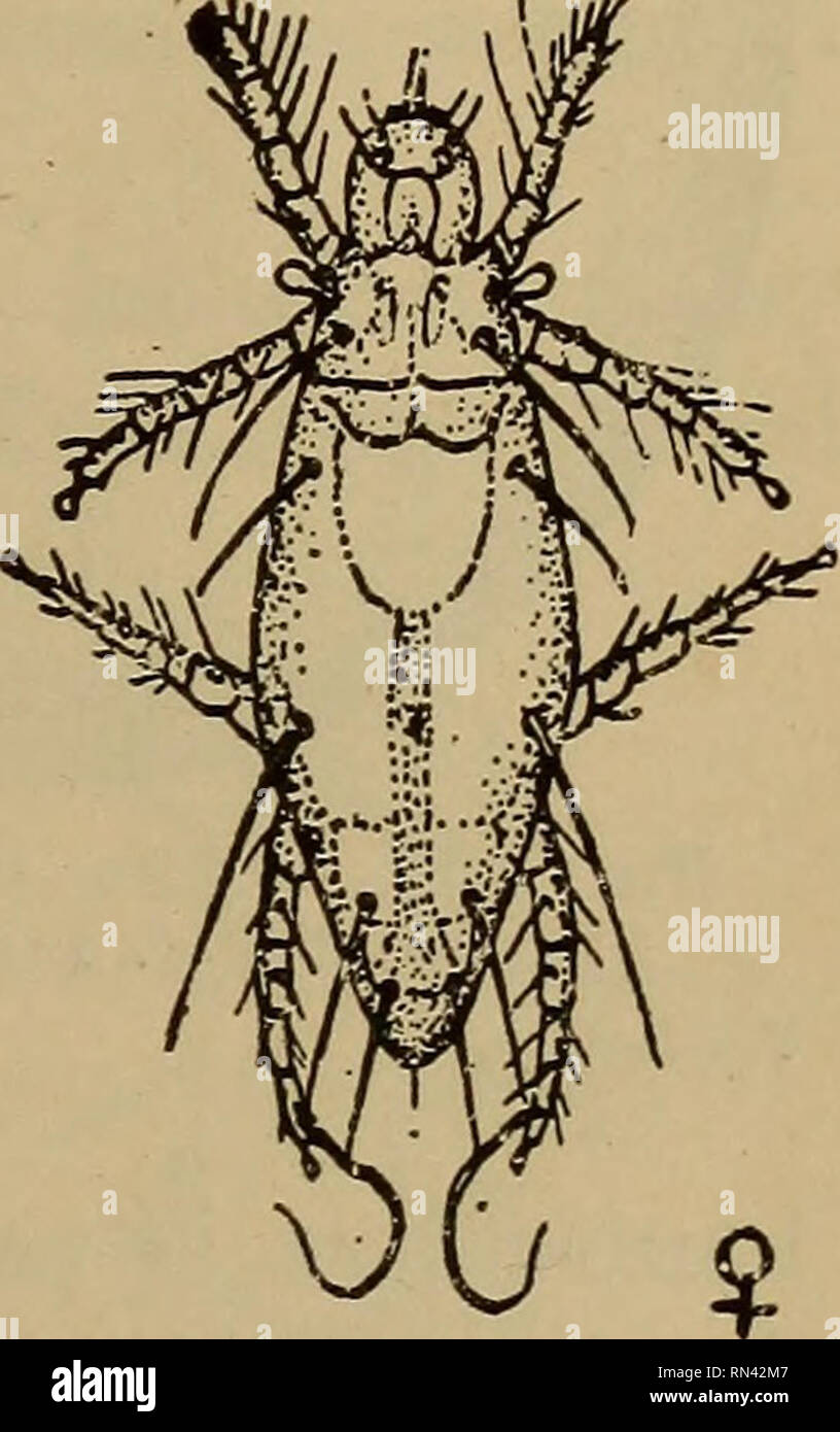 . Animal parasites and human disease. Medical parasitology; Insects as ...