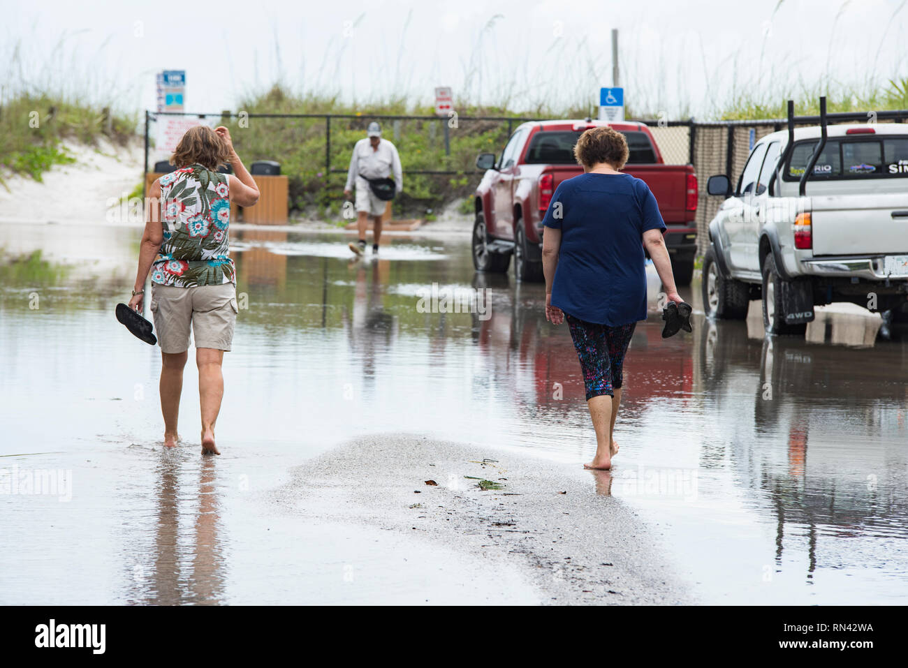Two women walking thru a flooded street. The water is ankle deep. They ...