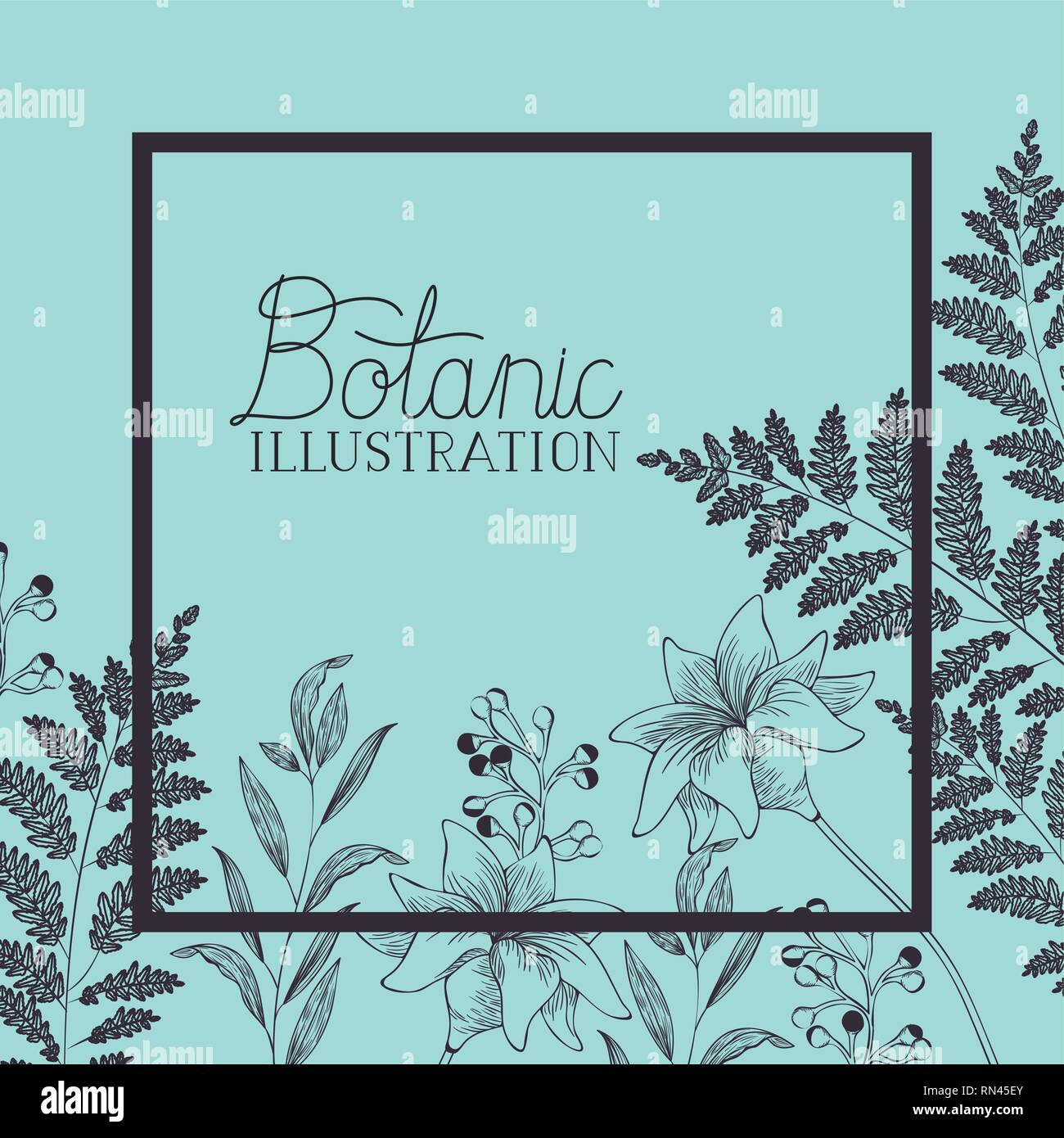 botanical plants and herbs square frame Stock Vector Image & Art - Alamy