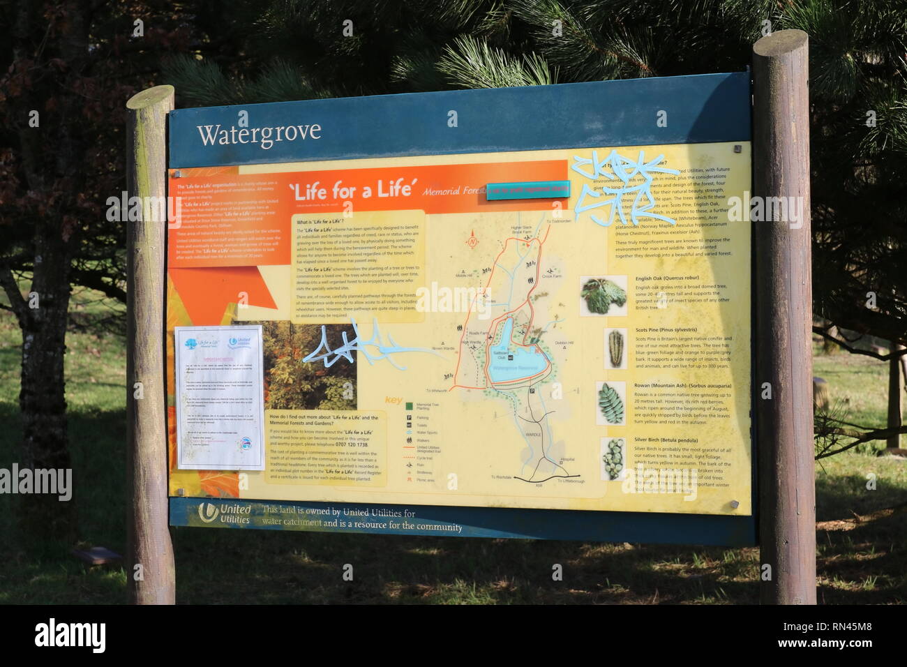 Watergrove Reservoir Tree for Life Stock Photo - Alamy