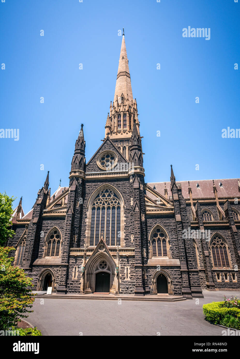 Side view of St Patrick's Cathedral and spire a Roman Catholic ...