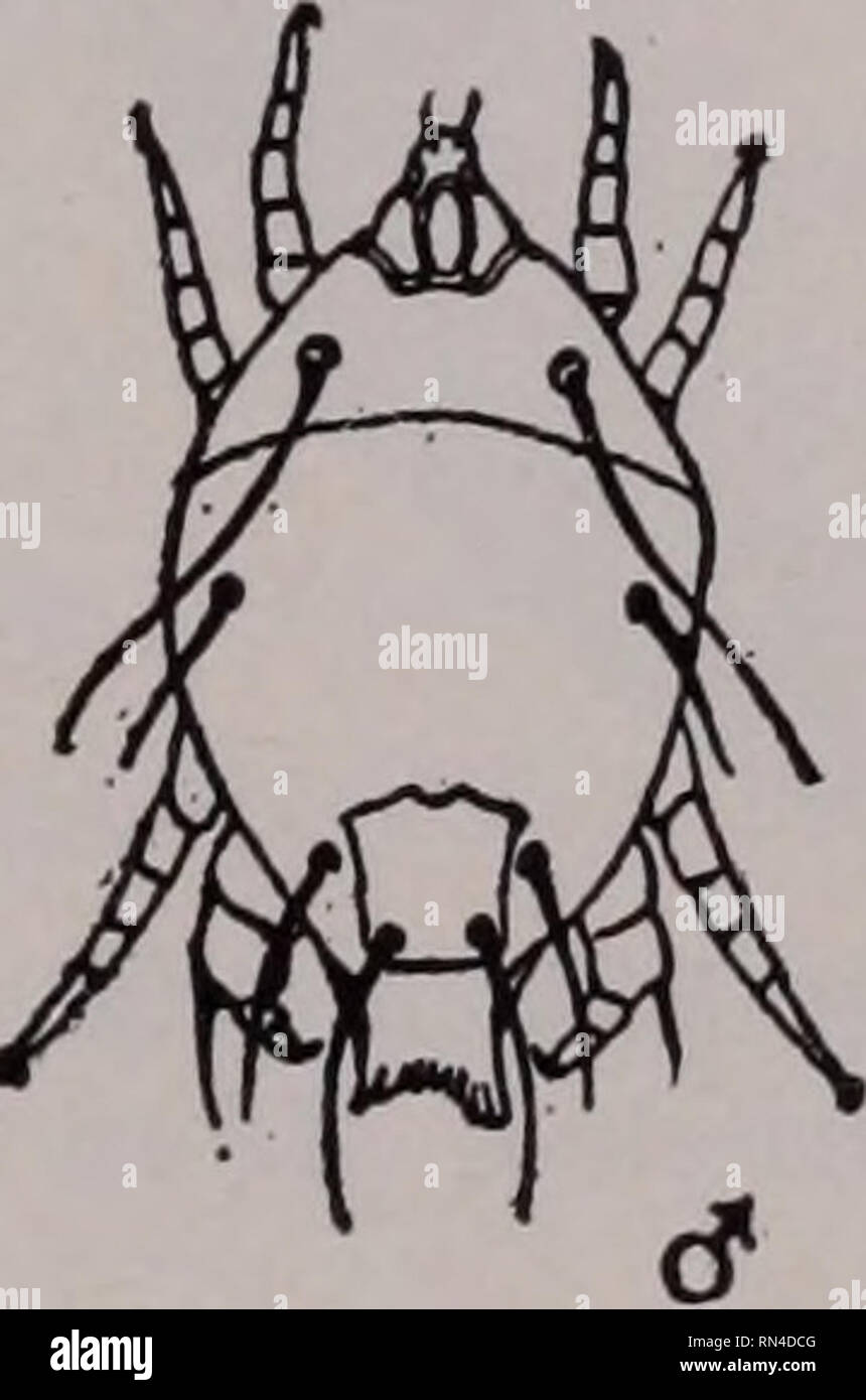 Swollen lymph glands hi-res stock photography and images - Alamy