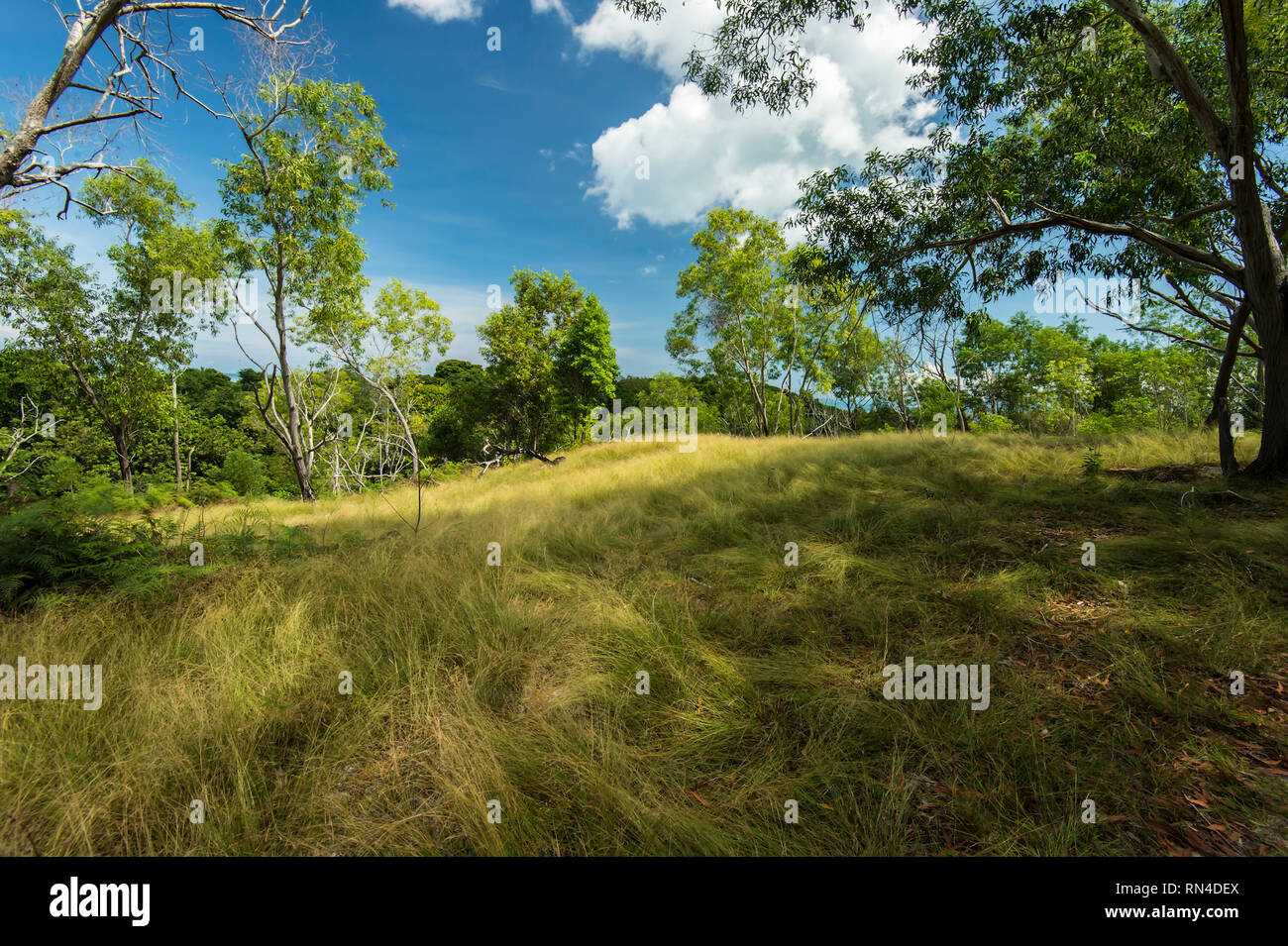 Kubung Hill at Labuan Island Stock Photo - Alamy