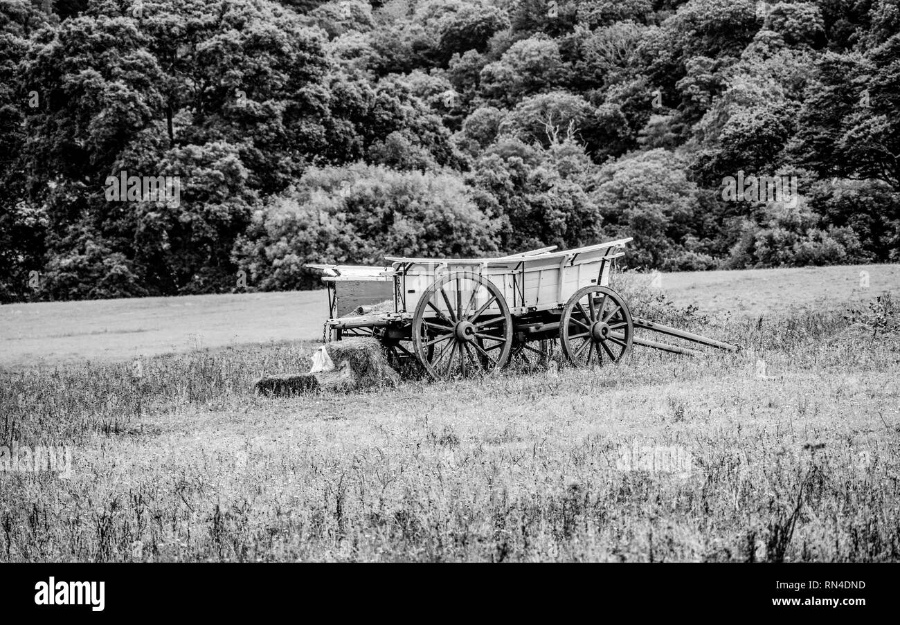 Bay carriage Black and White Stock Photos & Images - Alamy