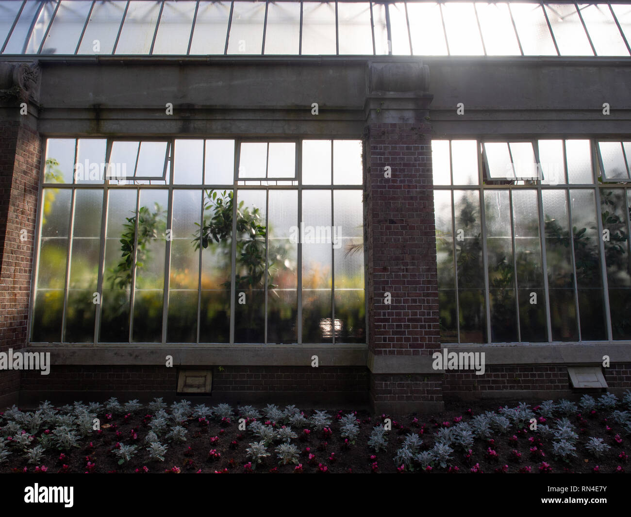Greenhouse Windows And A Small Garden Stock Photo - Alamy