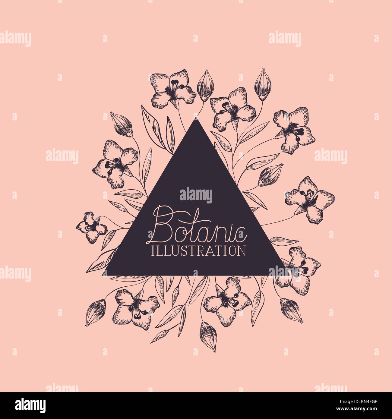 Triangle garden border hi-res stock photography and images - Alamy