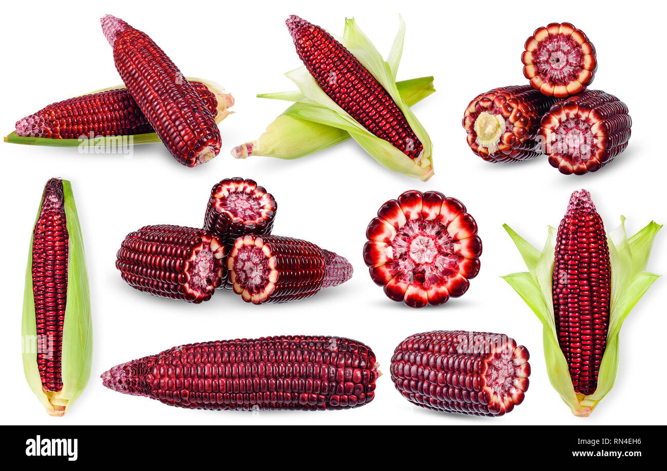 Collection Purple corn isolated on white clipping path Stock Photo - Alamy