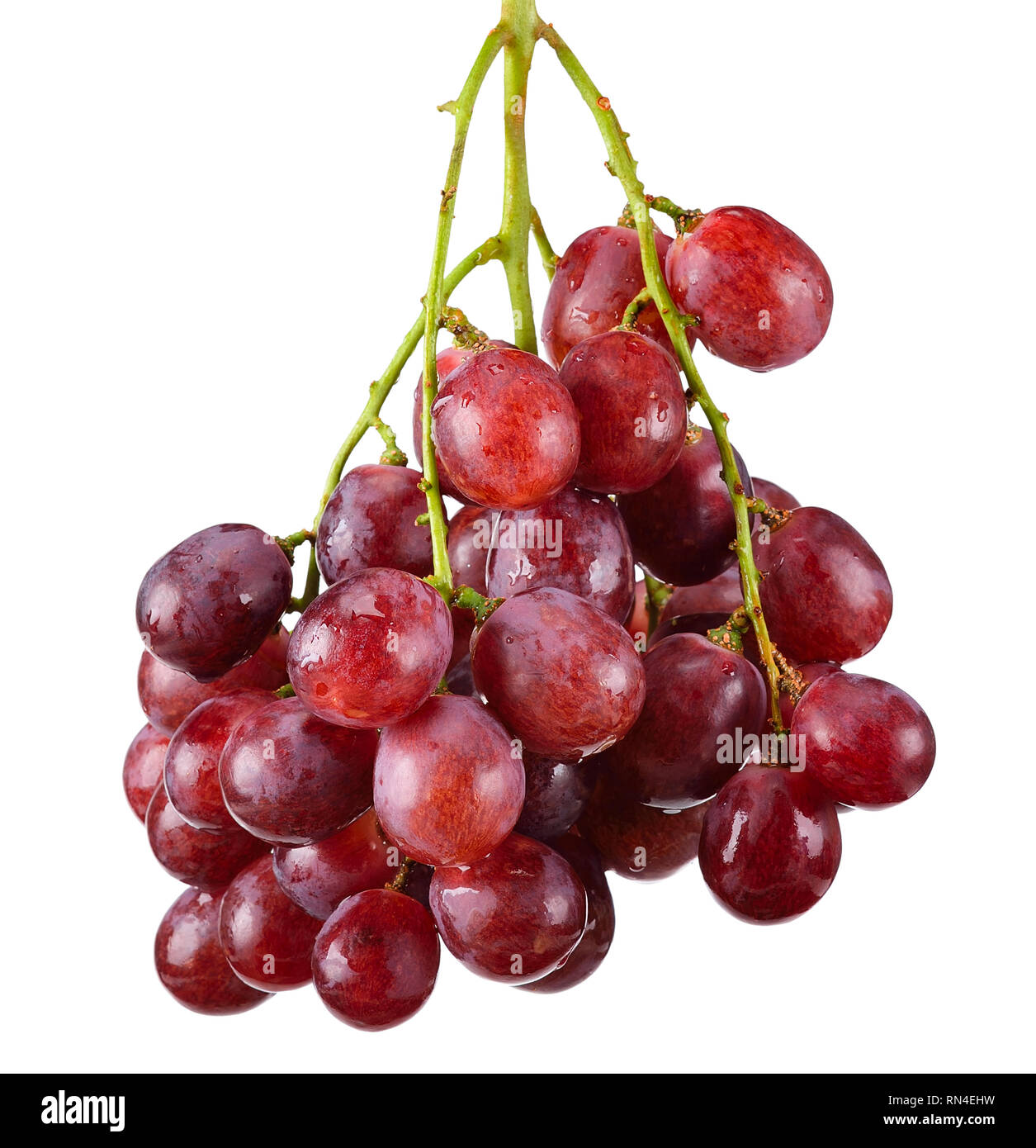Red grape isolated on white with clipping path Stock Photo - Alamy