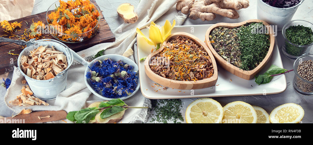 Herbal medicine. Homeopathy, panorama, banner Stock Photo - Alamy