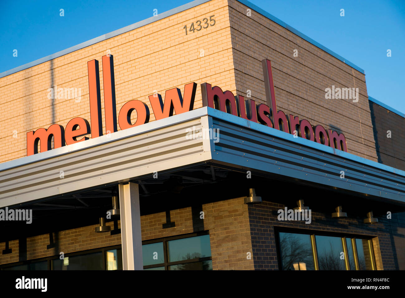 Mellow mushroom hi-res stock photography and images - Alamy