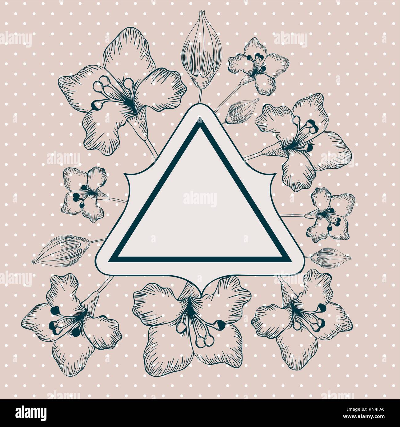 Triangle garden border hi-res stock photography and images - Alamy