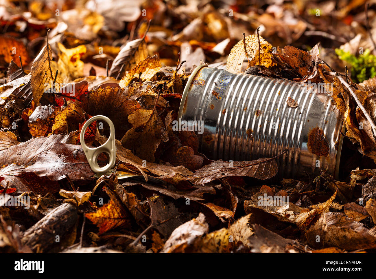 Still life of an empty used tin can with lid and pull waste on forest ...
