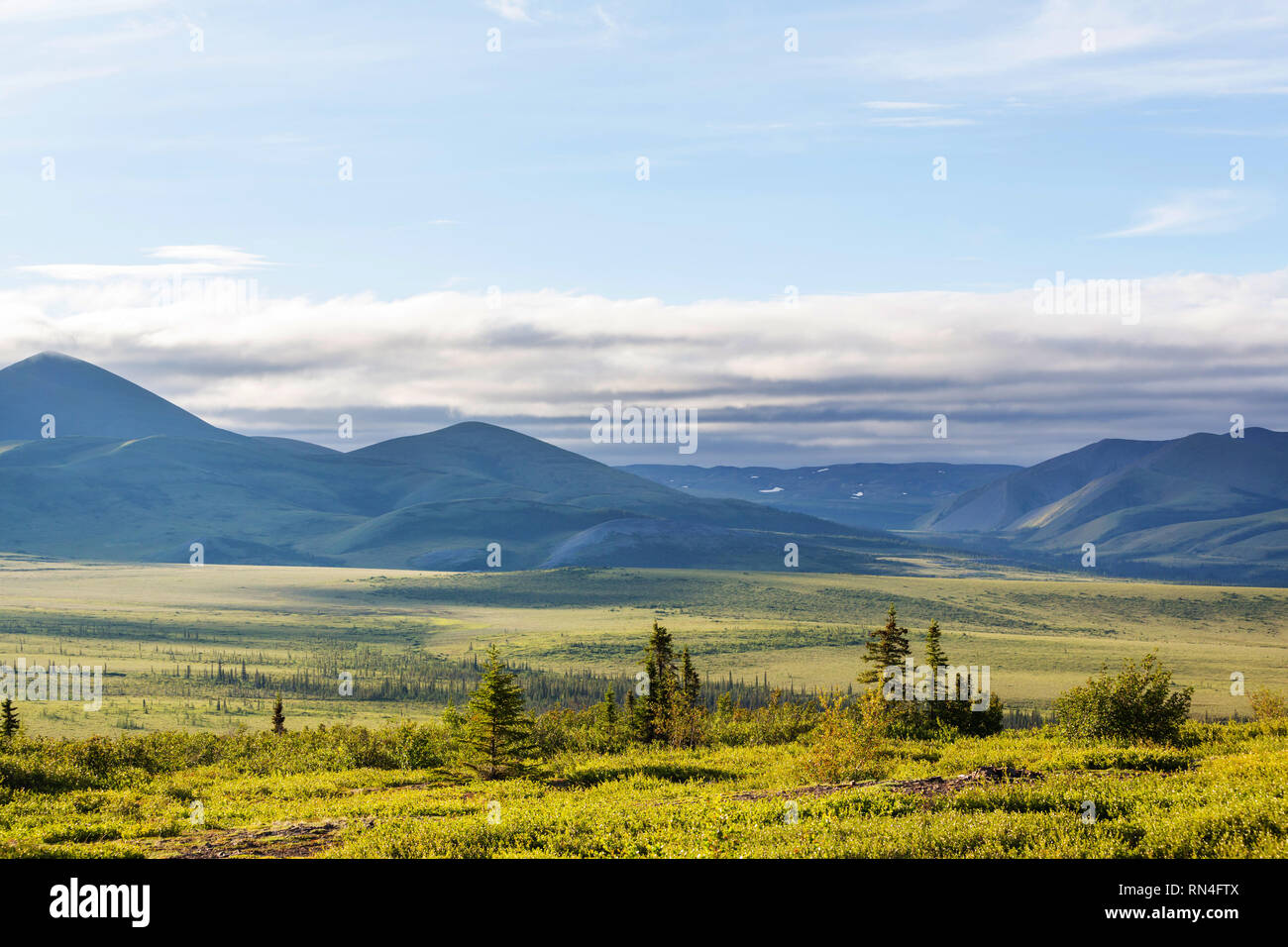 Tundra landscapes above Arctic circle Stock Photo - Alamy