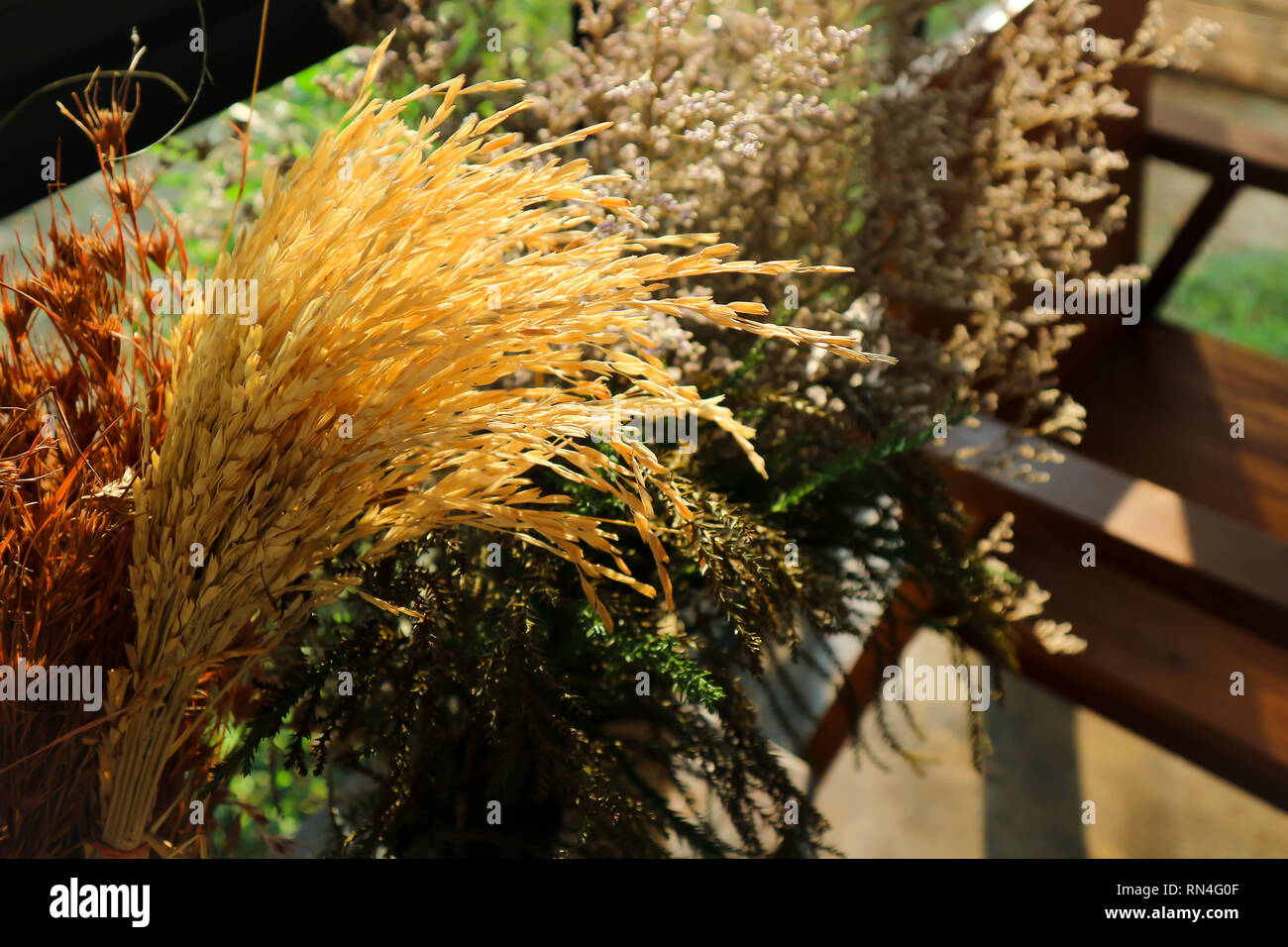 dried flower and dried rice plant in the vase Stock Photo - Alamy