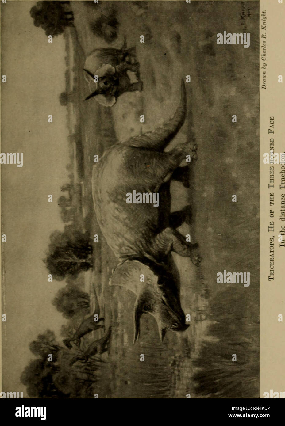 . Animals of the past : an account of some of the creatures of the ...