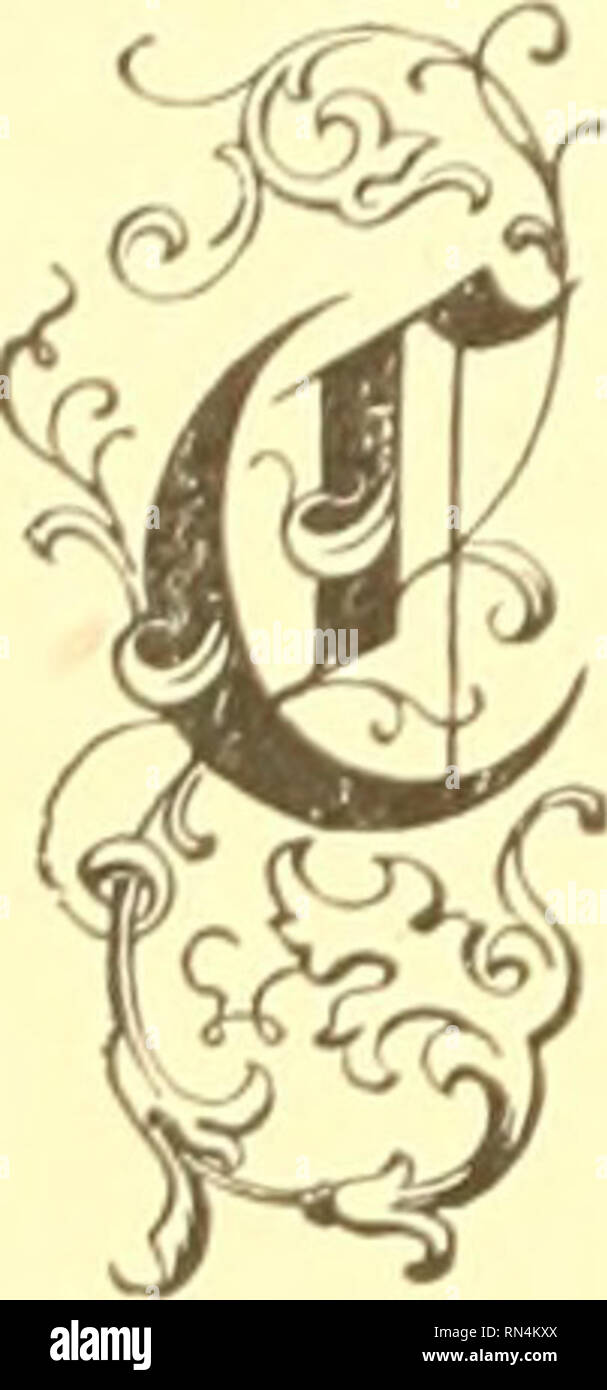 Atures High Resolution Stock Photography and Images - Alamy