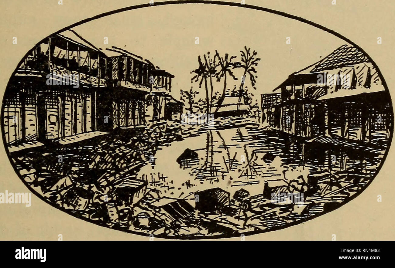 . Animal parasites and human disease. Medical parasitology; Insects as ...