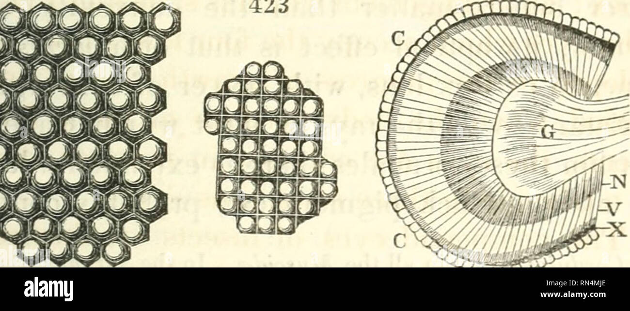 Hke hexagon hi-res stock photography and images - Alamy
